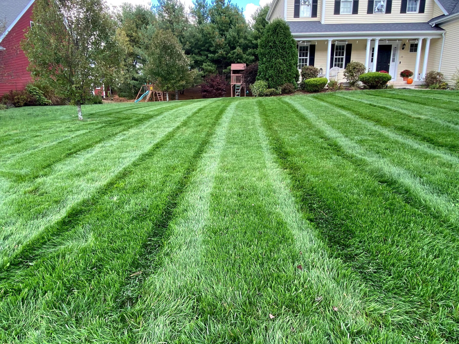Lawn Care Pricing Chart: All You Need To Know | Maione Landscapes