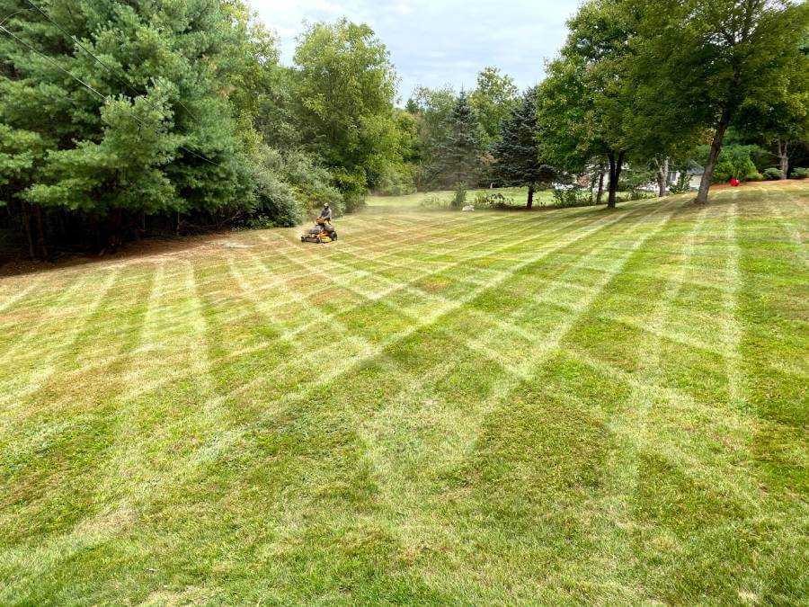 Expert Lawn Mowing Service Franklin, MA | Free Estimate
